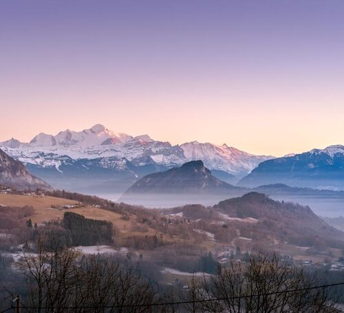 Home - Frontline Resource Institute